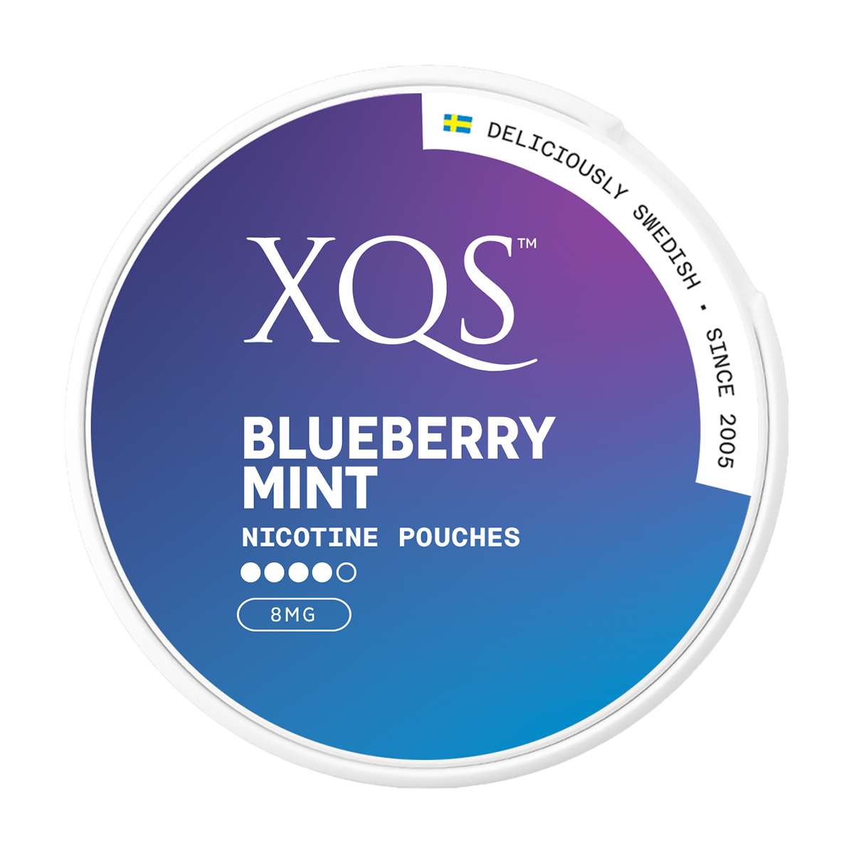 Blueberry Mint XQS Nicotine Pouches | 4 For £20 – Vape Shop